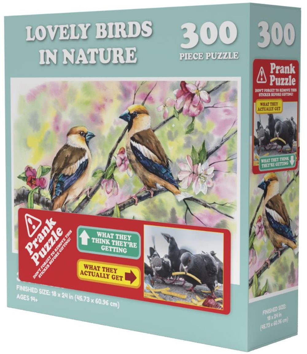 Wilder Games Doing Things Birds Prank Puzzle, 300 Piece | Buy online at ...