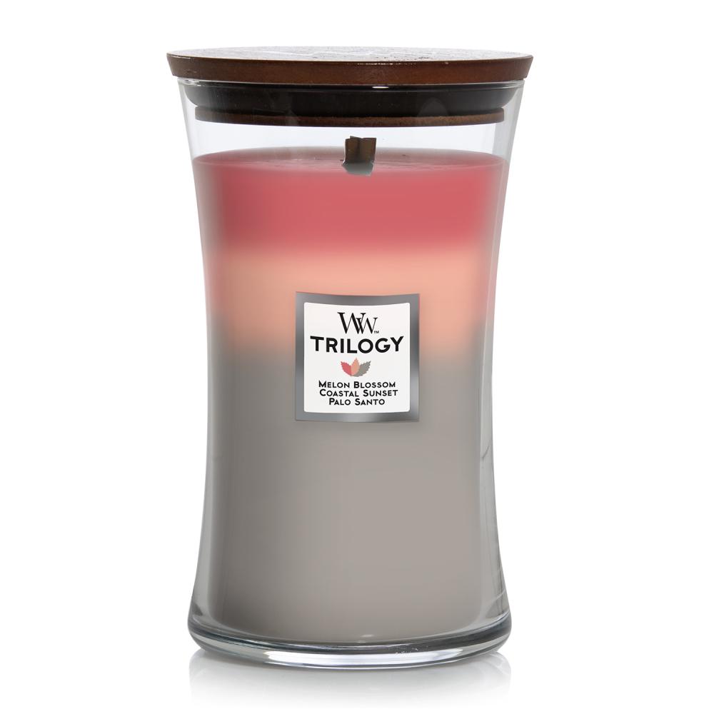 WoodWick Candle, Shoreline Trilogy - Large | Buy online at The Nile