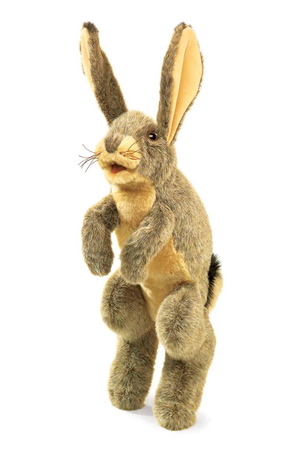 Folkmanis Jack Rabbit Puppet | Buy online at The Nile