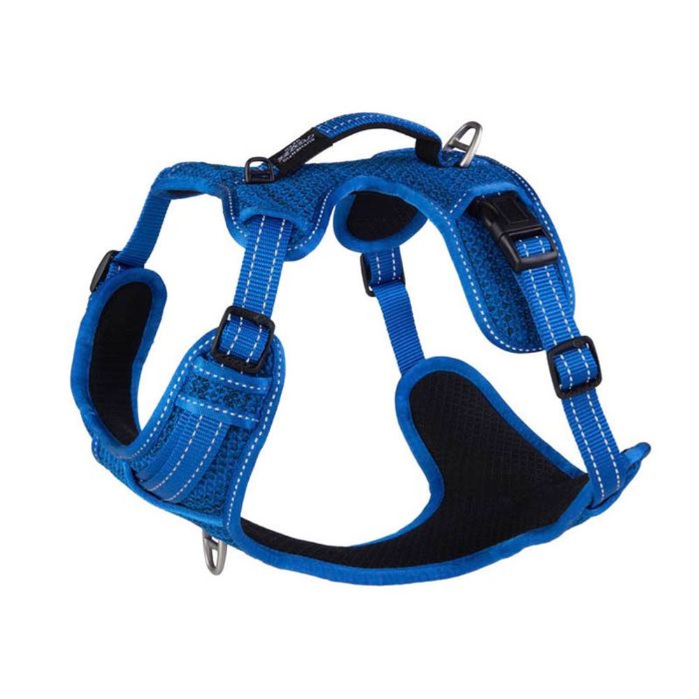 Rogz Specialty Explore Dog Harness (Blue) - Large | Buy online at The Nile