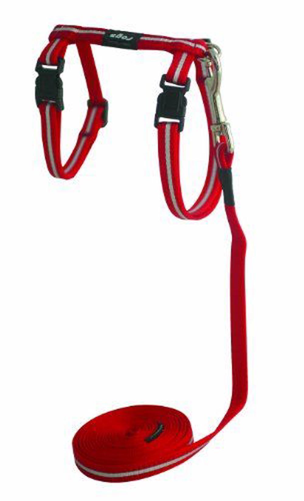 Rogz Reflective Nylon Cat Leash & Harness Combination Set (Red) | Buy ...