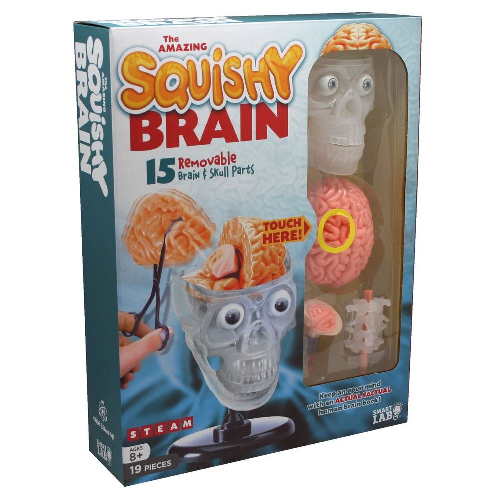 Smart Labs The Amazing Squishy Brain | Buy online at The Nile