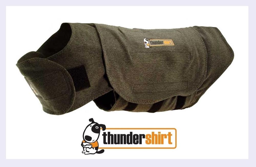 ThunderShirt Anxiety Vest for Dogs - Medium | Buy online at The Nile
