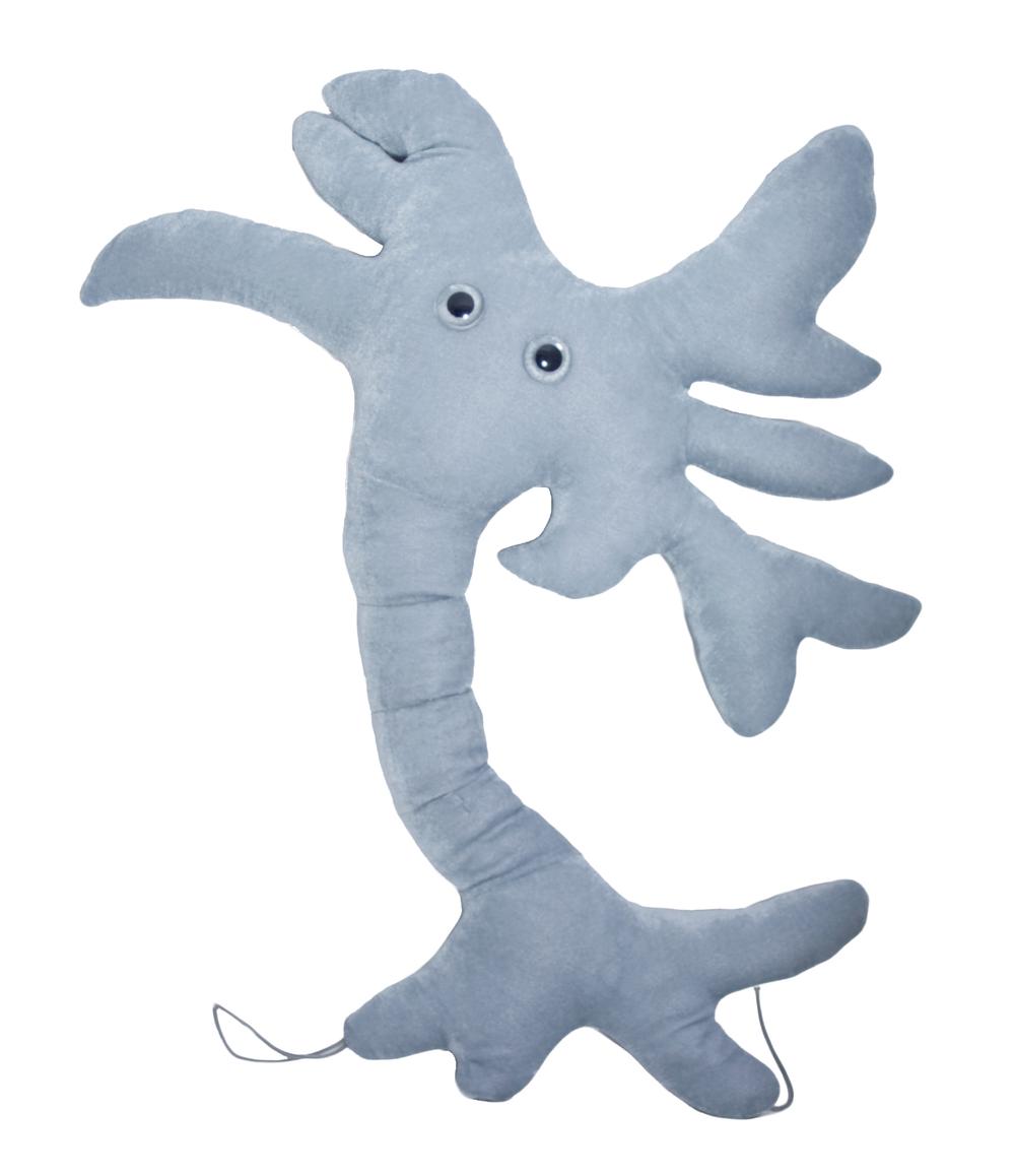 Giant Microbes Plush Toy (Brain Cell) | Buy online at The Nile