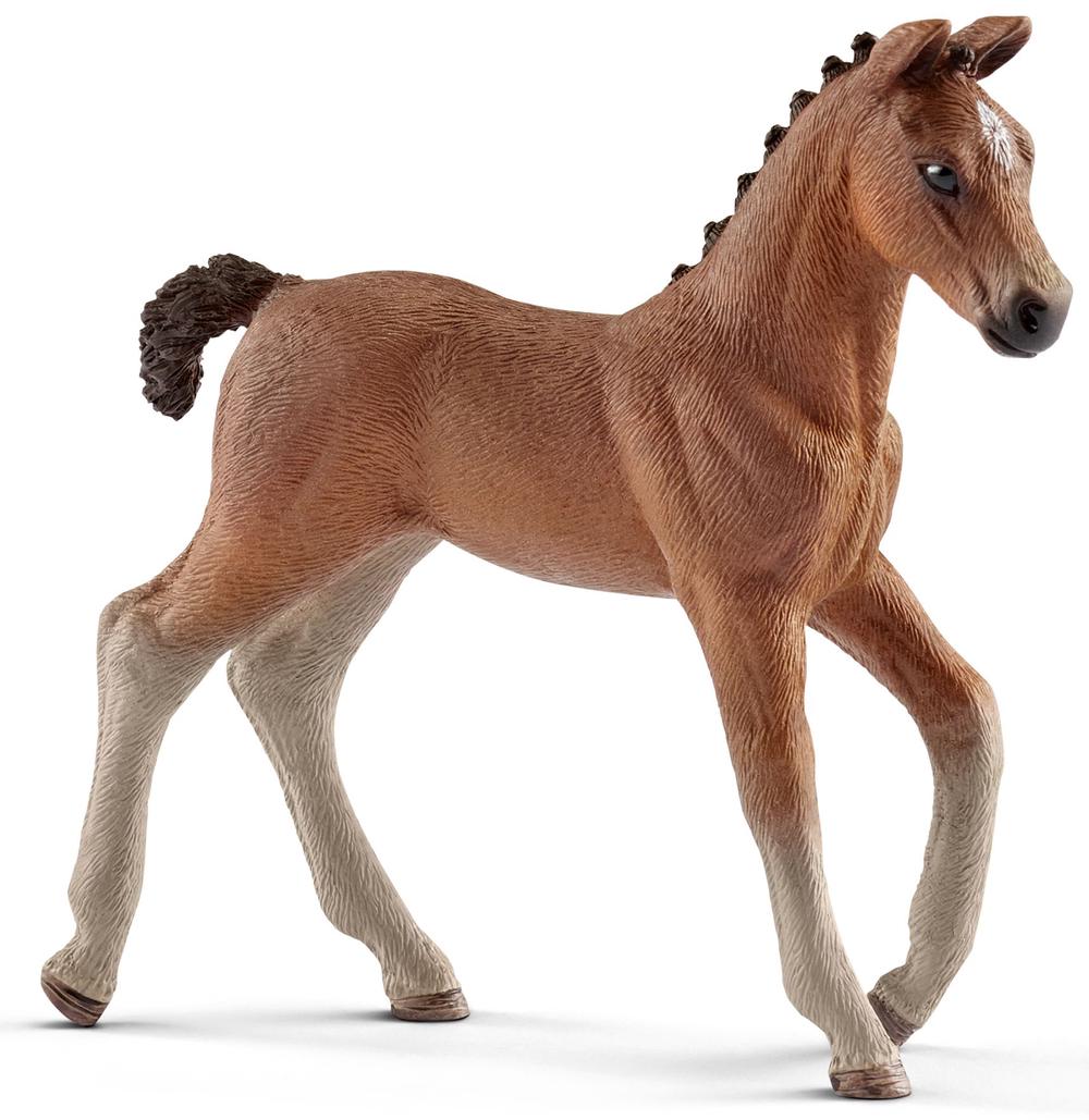 Schleich Horse Club (Hanoverian Foal) | Buy online at The Nile