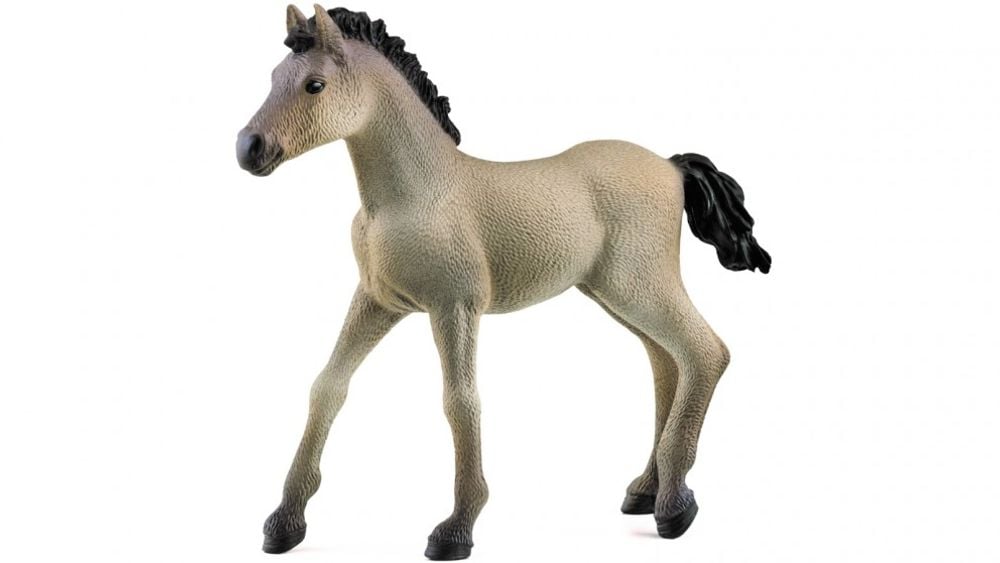 Schleich Criollo Definitivo Foal | Buy online at The Nile