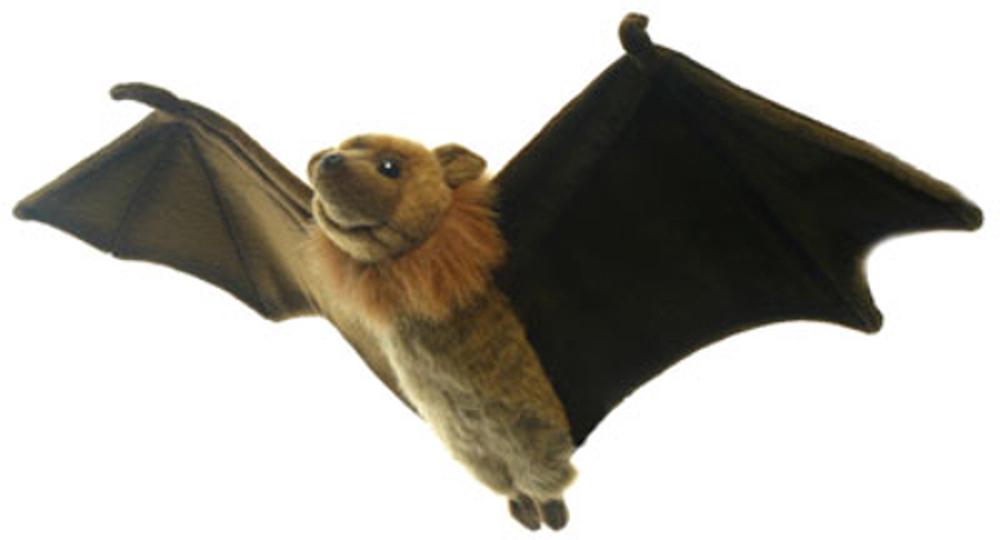 Hansa Creation Flying Fox Plush - 67cm | Buy online at The Nile