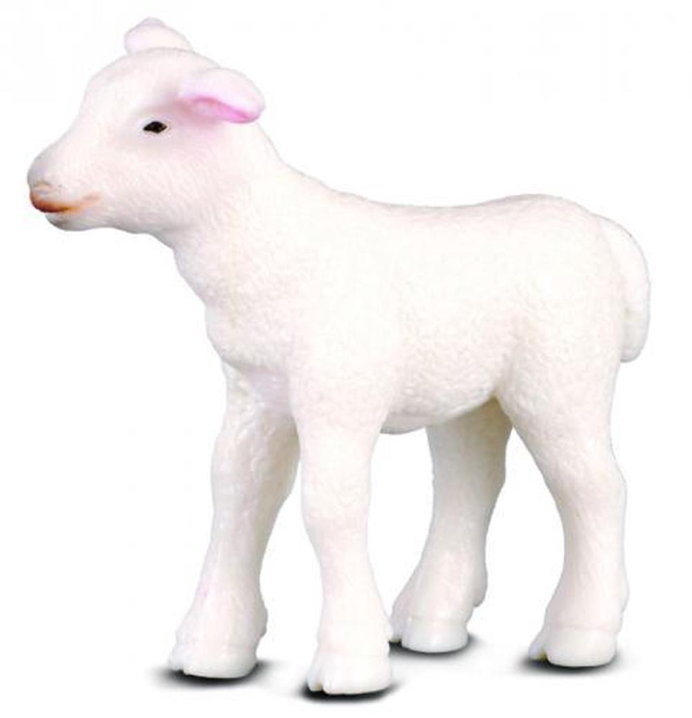 CollectA Lamb Figurine - Standing | Buy online at The Nile