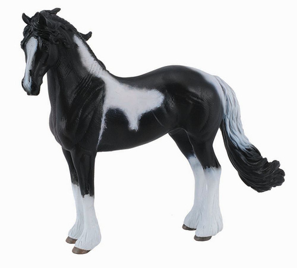 CollectA Barock Pinto Stallion Figurine | Buy online at The Nile
