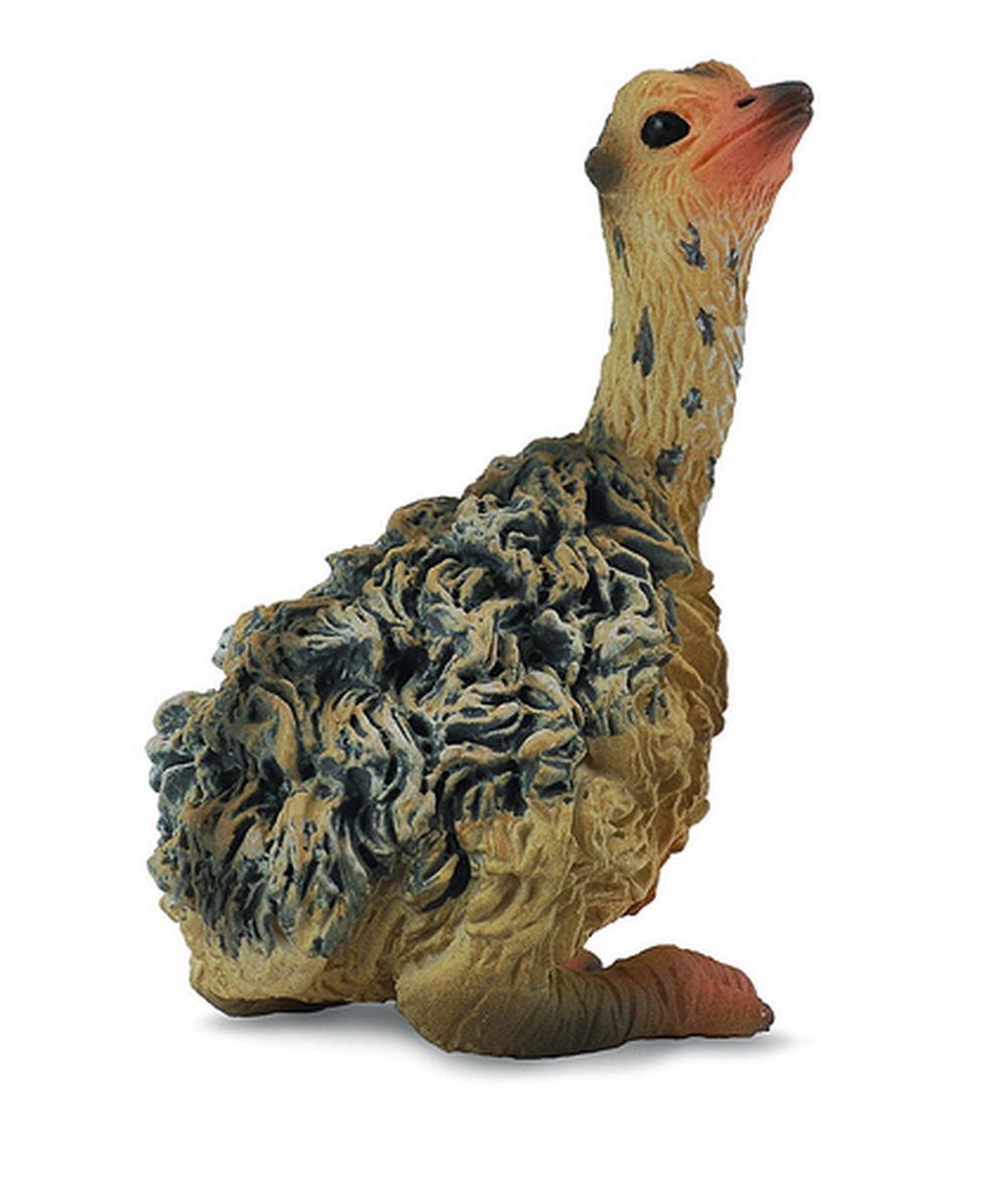 CollectA Ostrich Chick Sitting Figurine | Buy online at The Nile