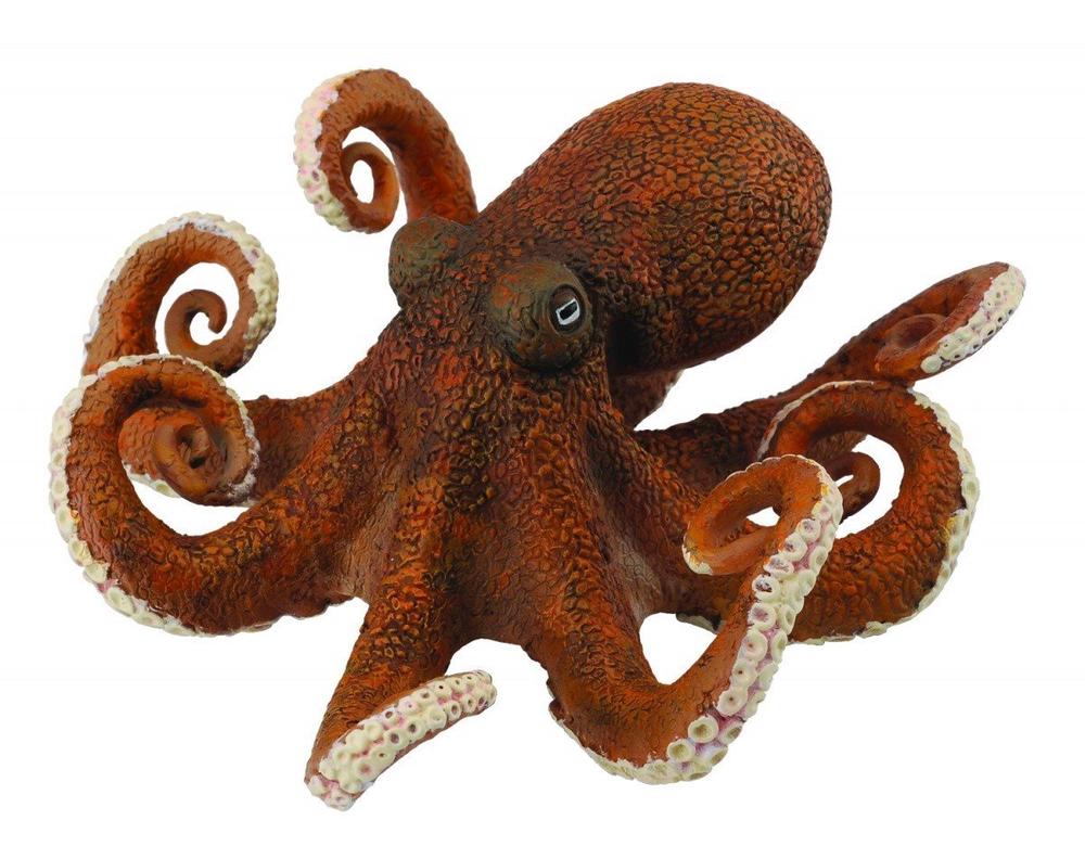 CollectA Octopus Figurine | Buy online at The Nile