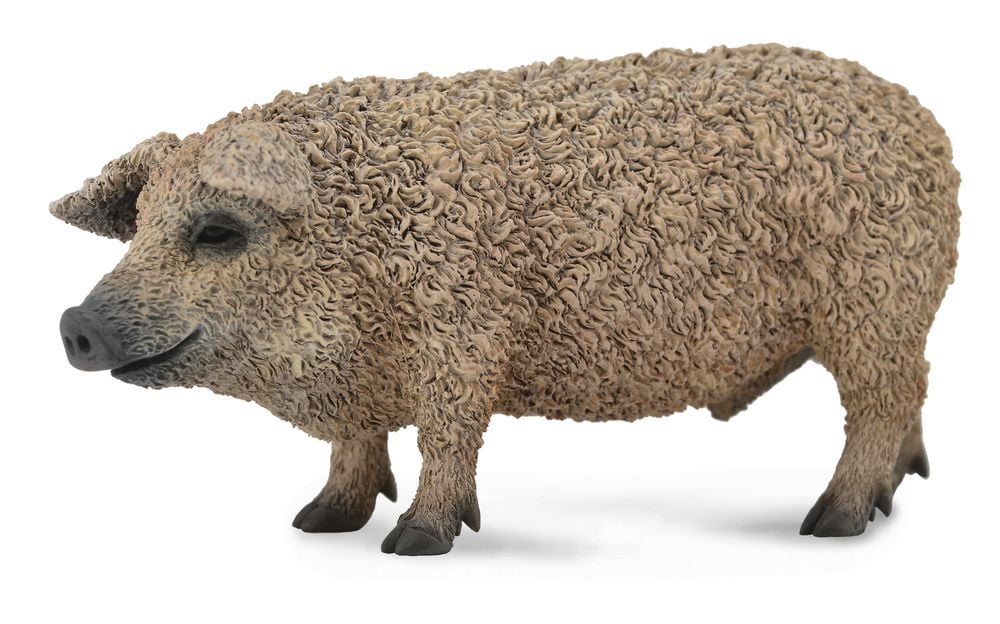 CollectA Hungarian Pig Figurine | Buy online at The Nile