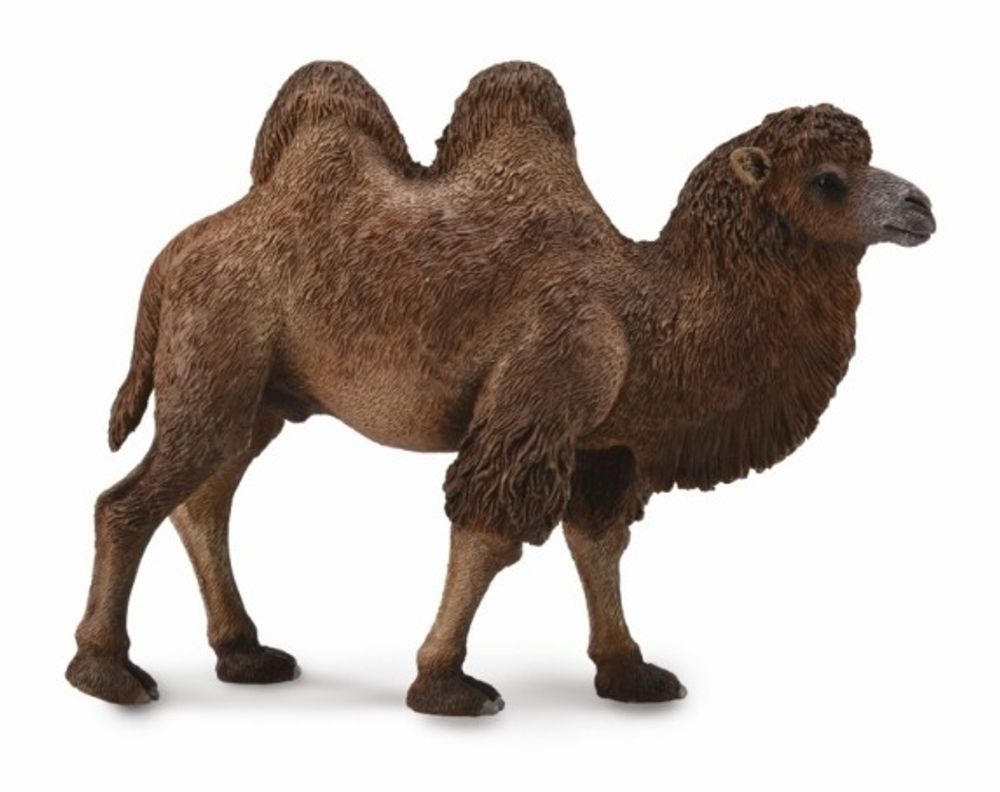 CollectA Bactrian Camel Figurine | Buy online at The Nile