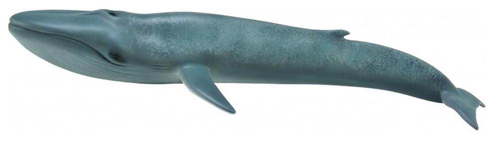 CollectA Blue Whale Figurine | Buy online at The Nile