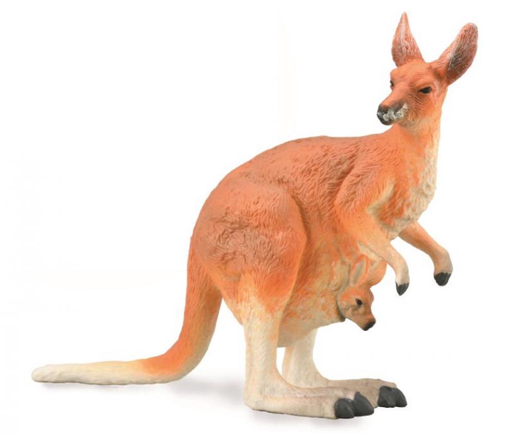 CollectA Red Kangaroo Toy Figurine | Buy online at The Nile