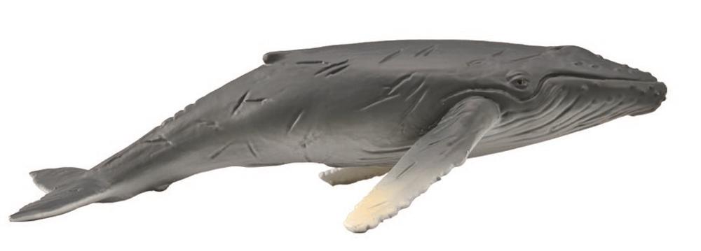 CollectA Humpback Whale Calf Animal Figurine | Buy online at The Nile