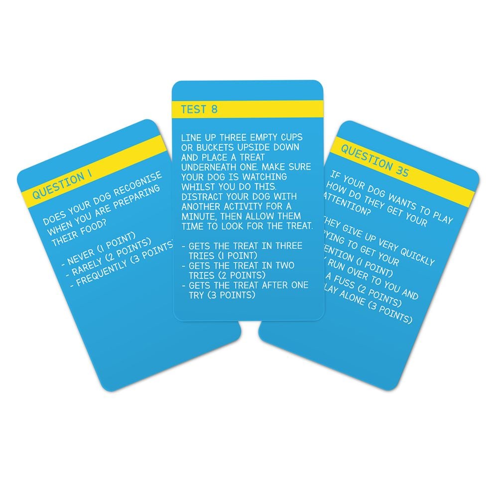 Gift Republic Dog IQ Test Cards | Buy online at The Nile