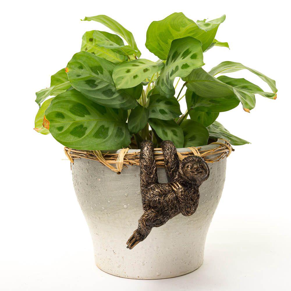 Jardinopia Garden Decor Antique Bronze Sloth Pot Buddy | Buy online at ...