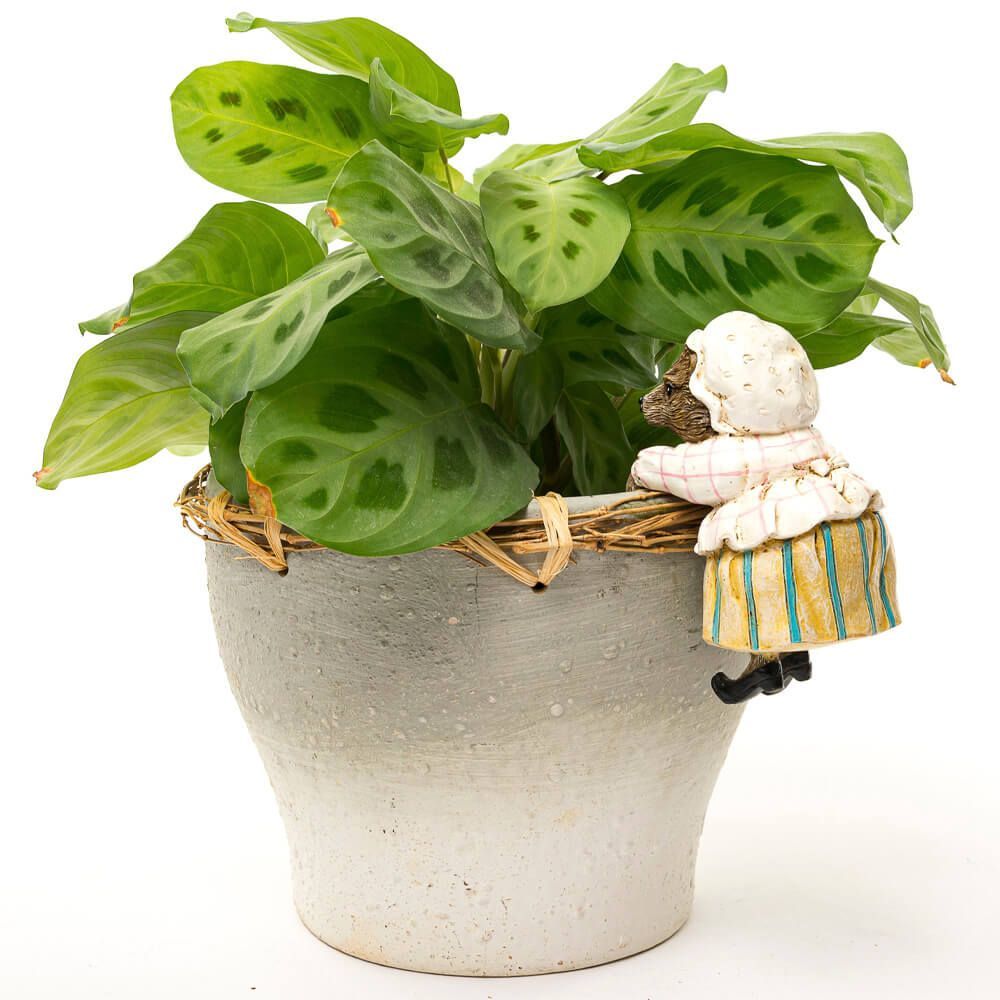 Jardinopia Garden Decor Beatrix Potter Mrs. Tiggy-Winkle Pot Buddy ...