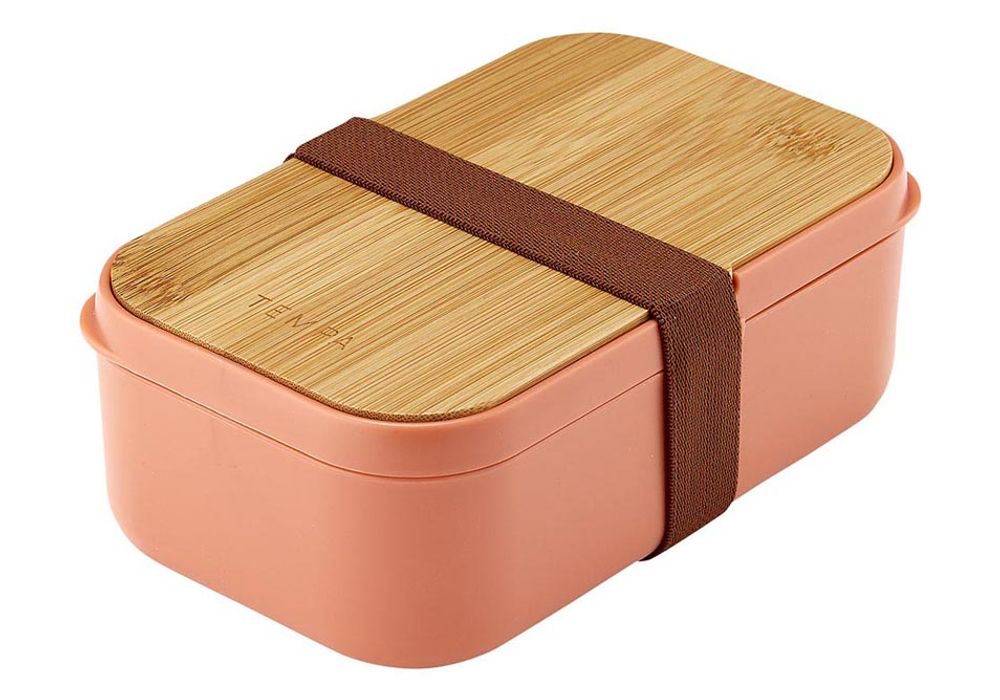 Tempa Bento Lunch box (Terracotta) - 19.5x12.25x7.35cm | Buy online at ...