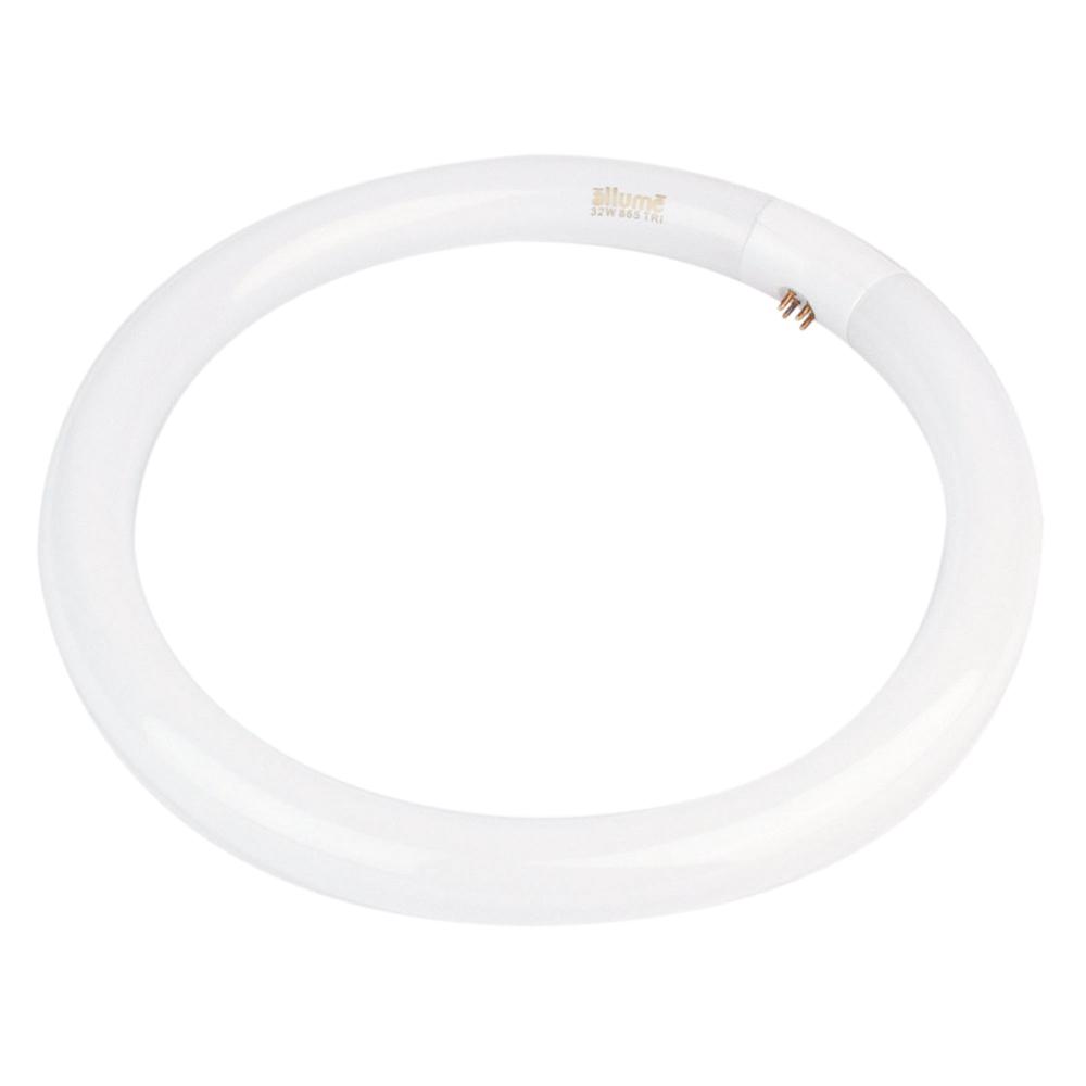 Oriel Lighting Fluro 3000K Fluorescent T9 Circular Tube, 32 Watt - 31cm ...