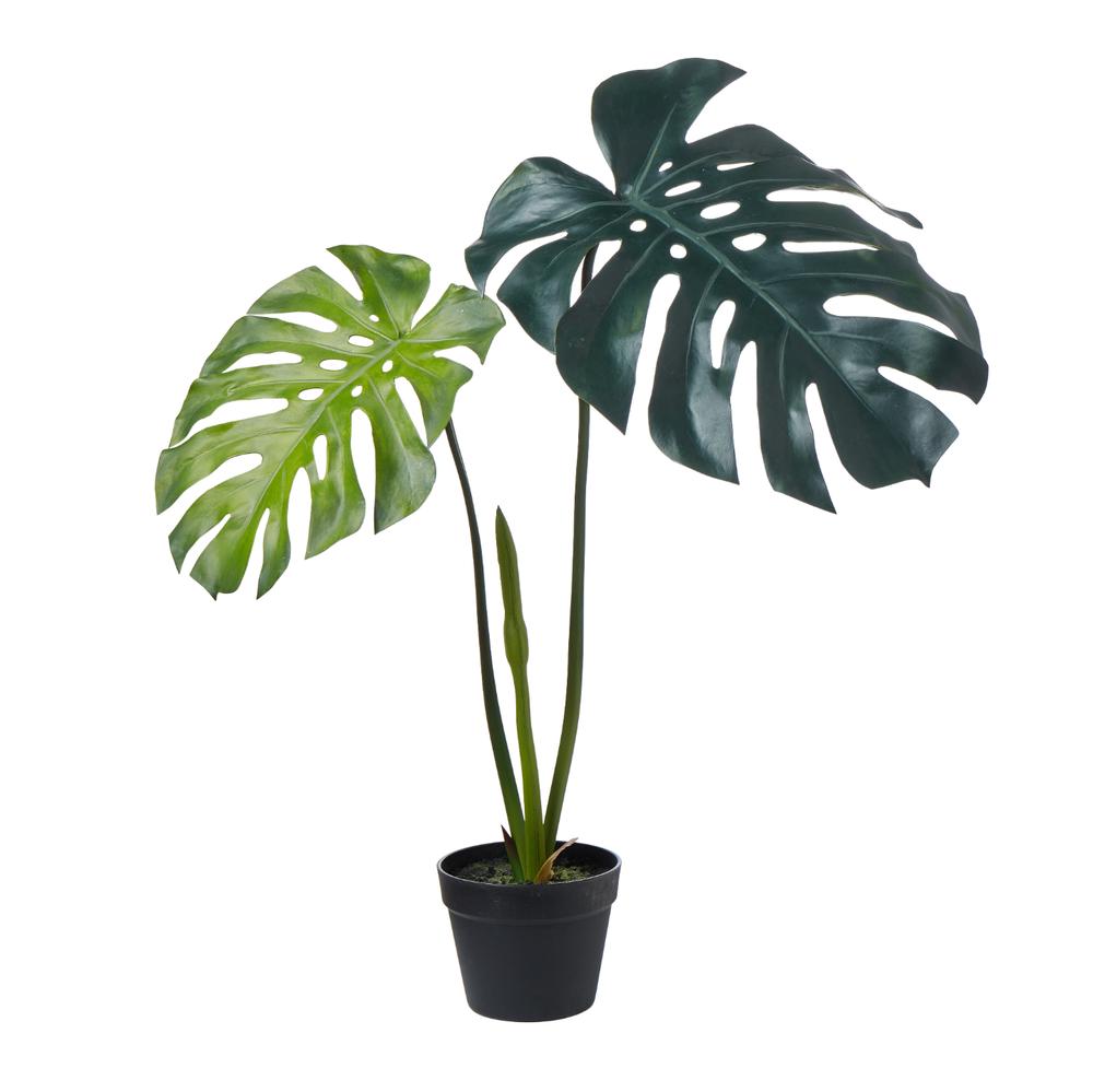 Rogue Monstera-Garden Pot (Green) - 49x34x69cm | Buy online at The Nile