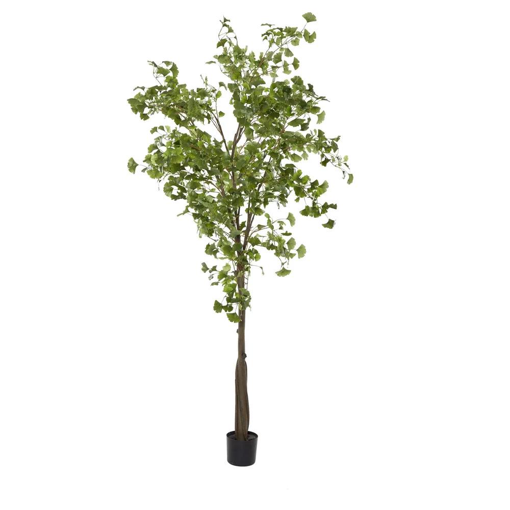 Florabelle Ginko Tree Potted - 90 x 90 x 240 | Buy online at The Nile