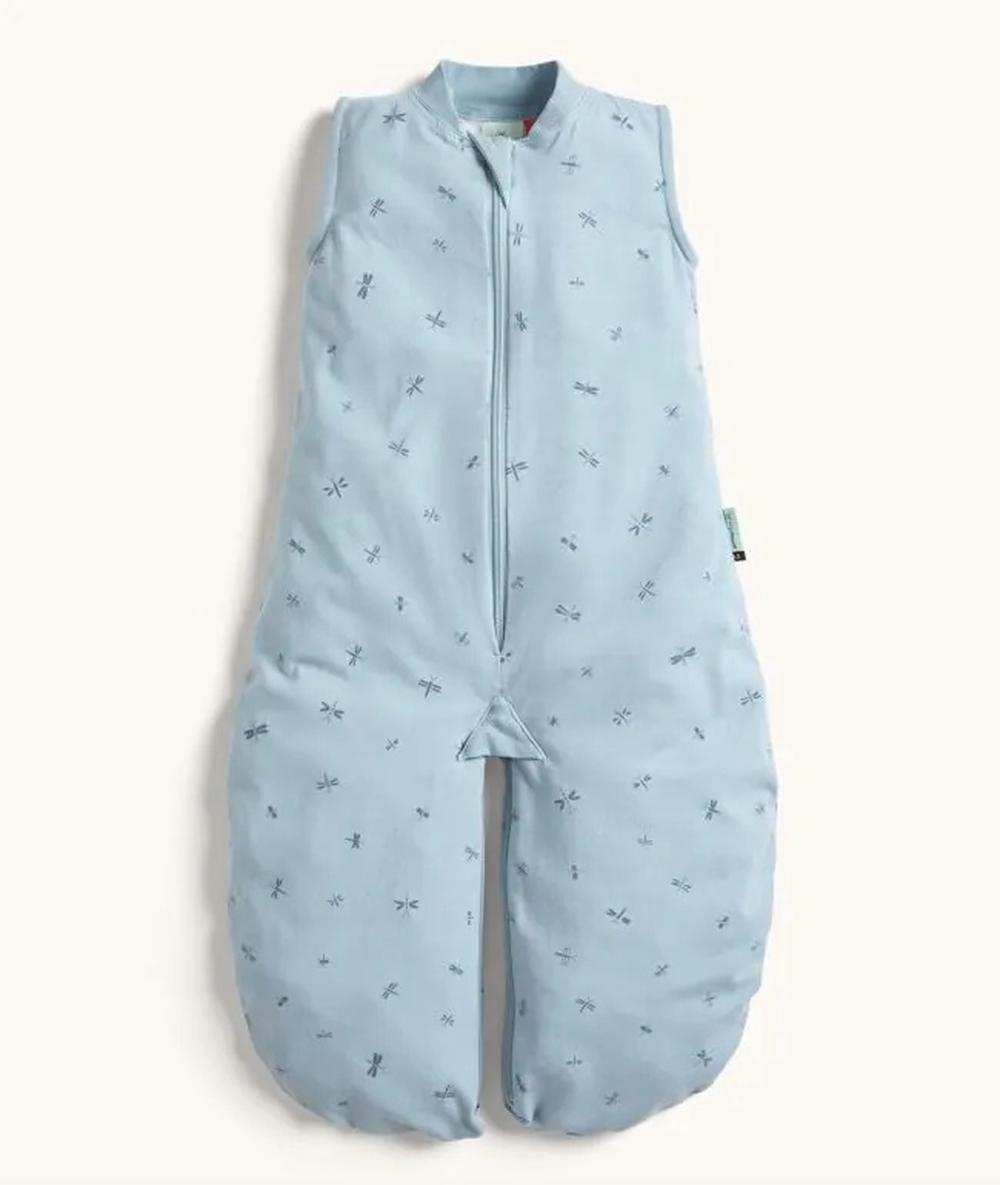ergoPouch Sleep Suit Bag, 1.0 Tog (Dragonflies) - 2-4 Years | Buy ...