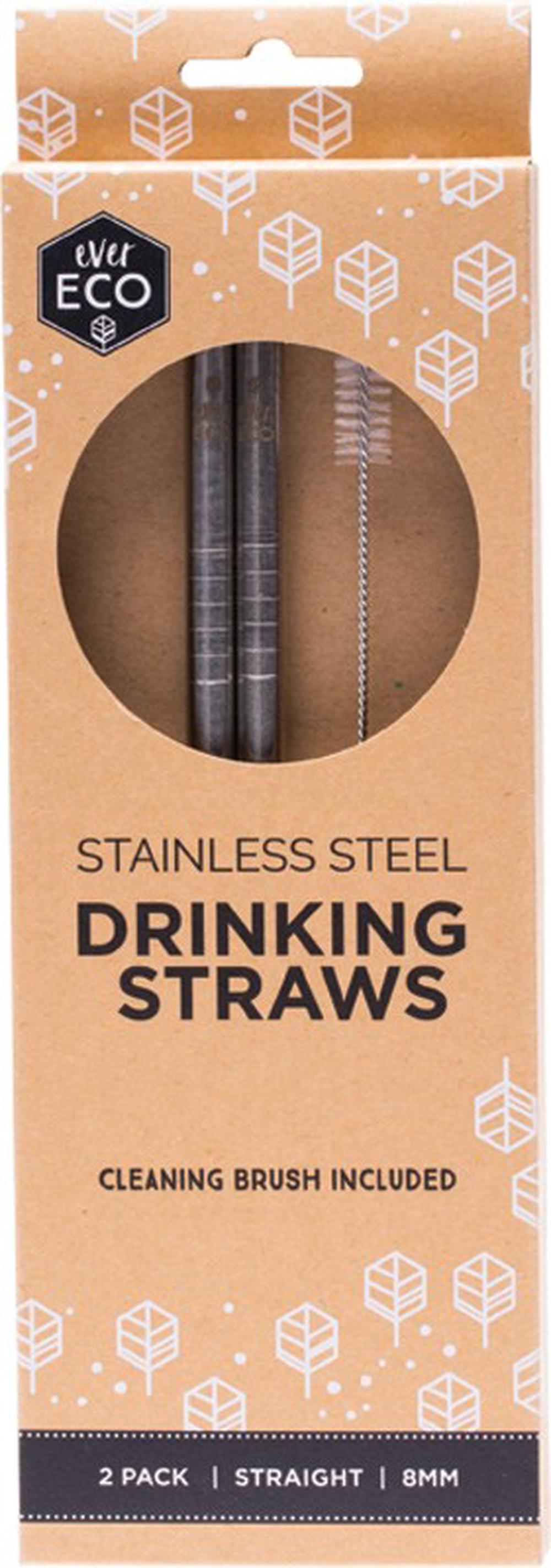 Ever Eco Stainless Steel Straight Straw, 2 Piece | Buy online at The Nile