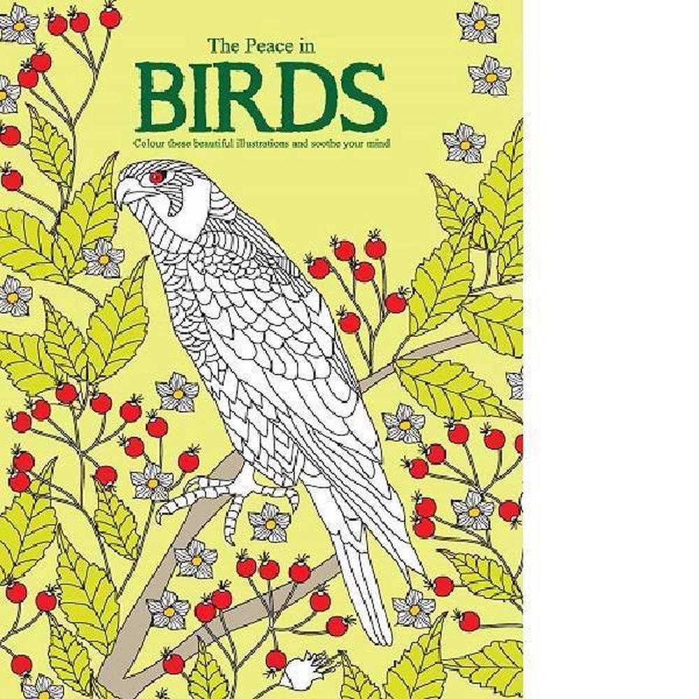 Blue Duck Books Birds Colouring Book | Buy online at The Nile