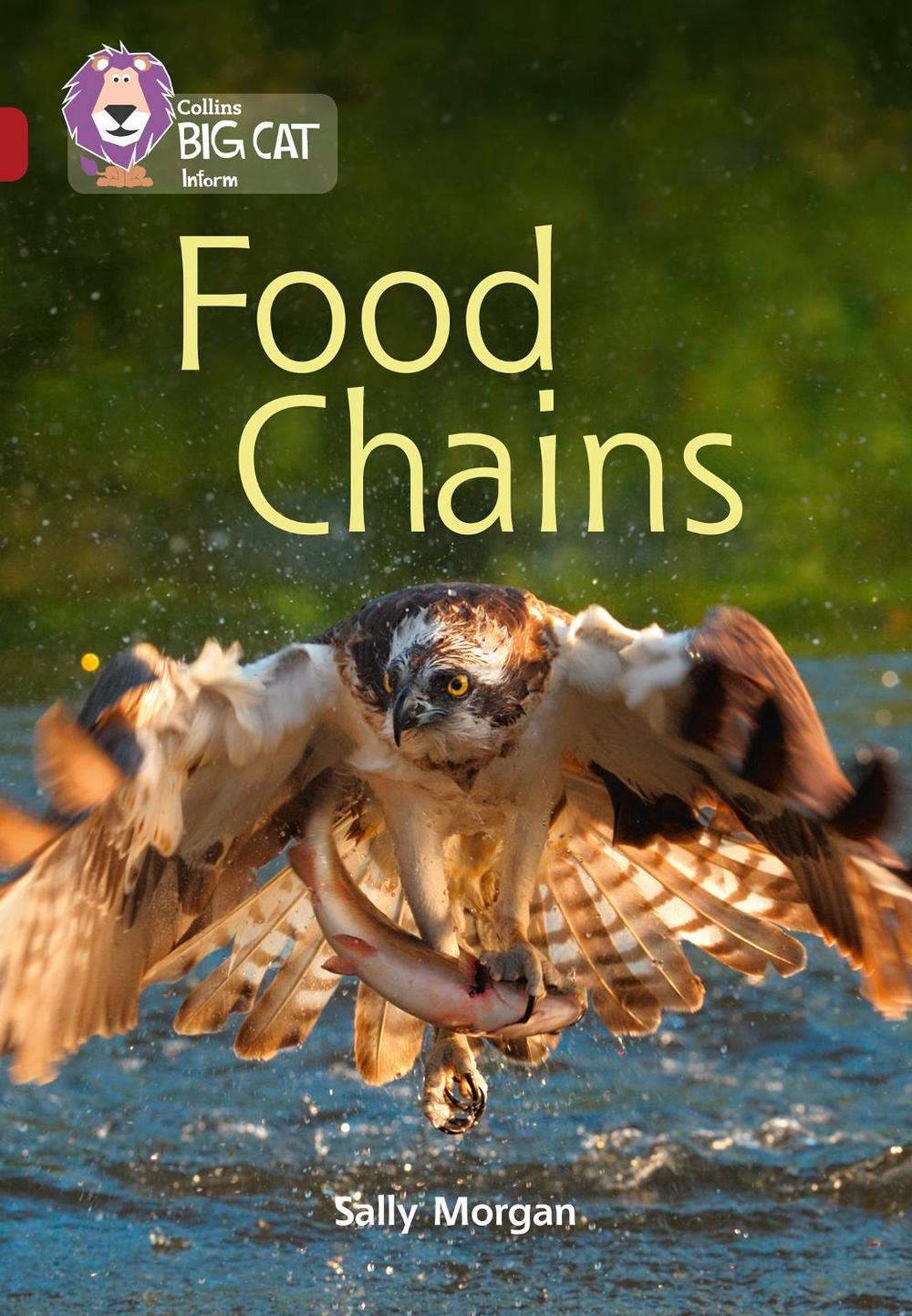Food Chains by Sally Morgan, Paperback, 9780008163891 | Buy online at ...