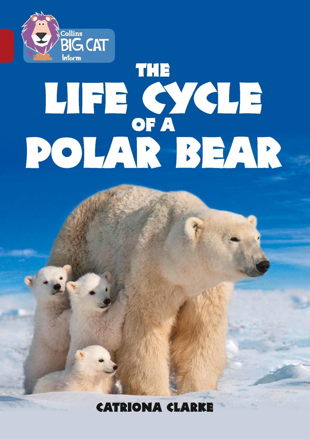 The Life Cycle of a Polar Bear by Catriona Clarke, Paperback ...
