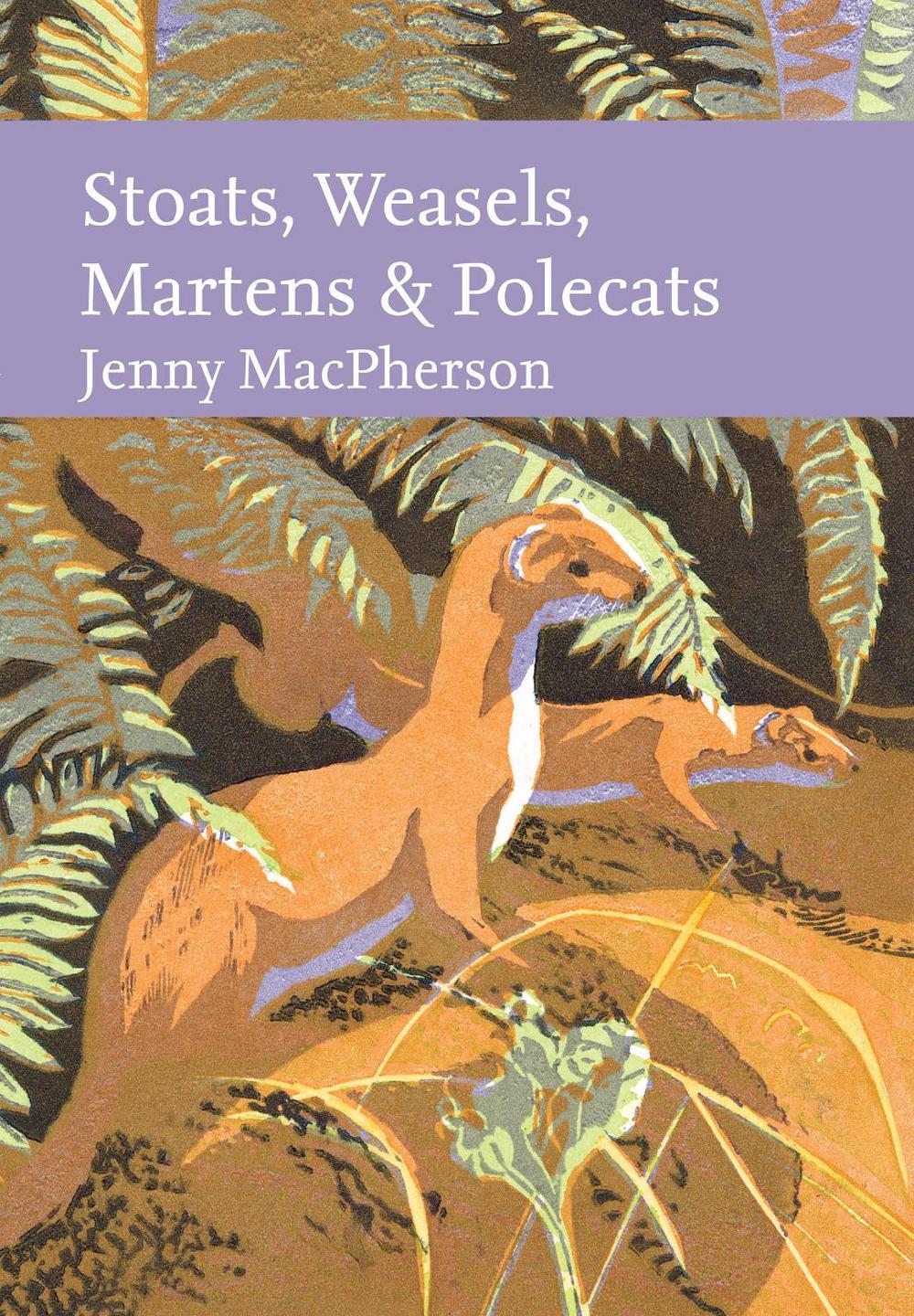 Stoats, Weasels, Martens and Polecats by Jenny MacPherson, Hardcover ...