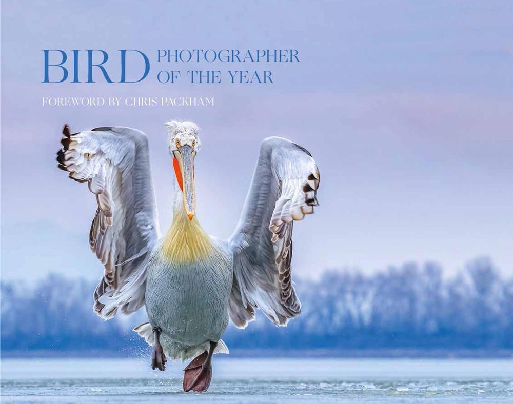 Bird Photographer of the Year by Bird Photographer of the Year ...