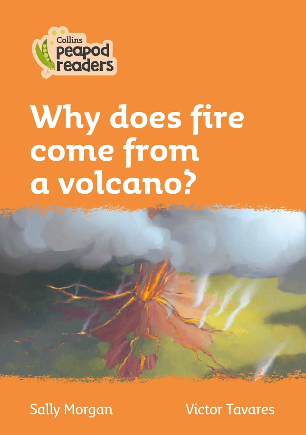 Why does fire come from a volcano? by Sally Morgan, Paperback ...