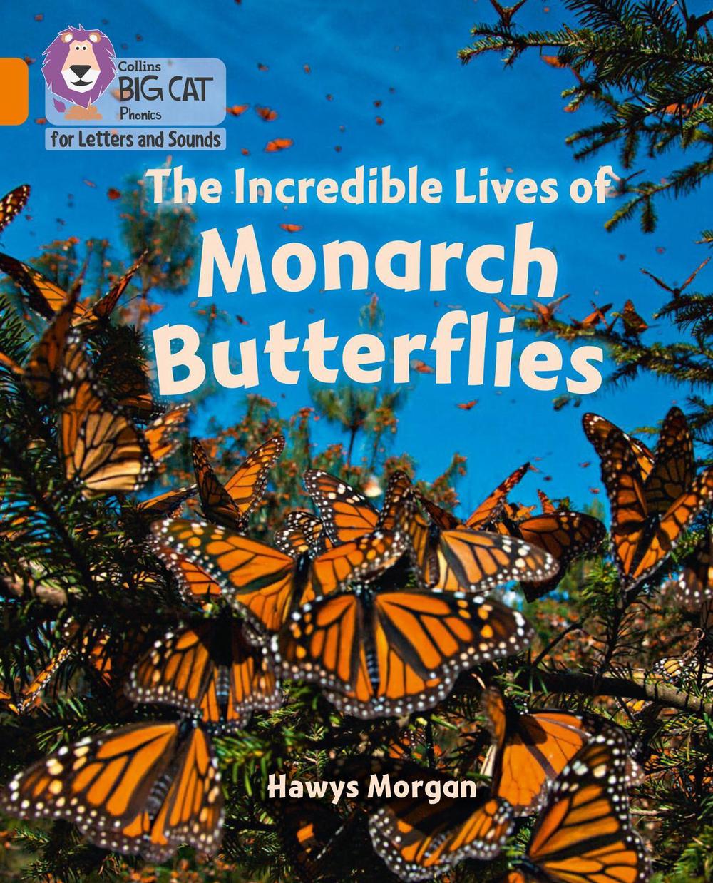 The Incredible Lives of Monarch Butterflies by Hawys Morgan, Paperback ...