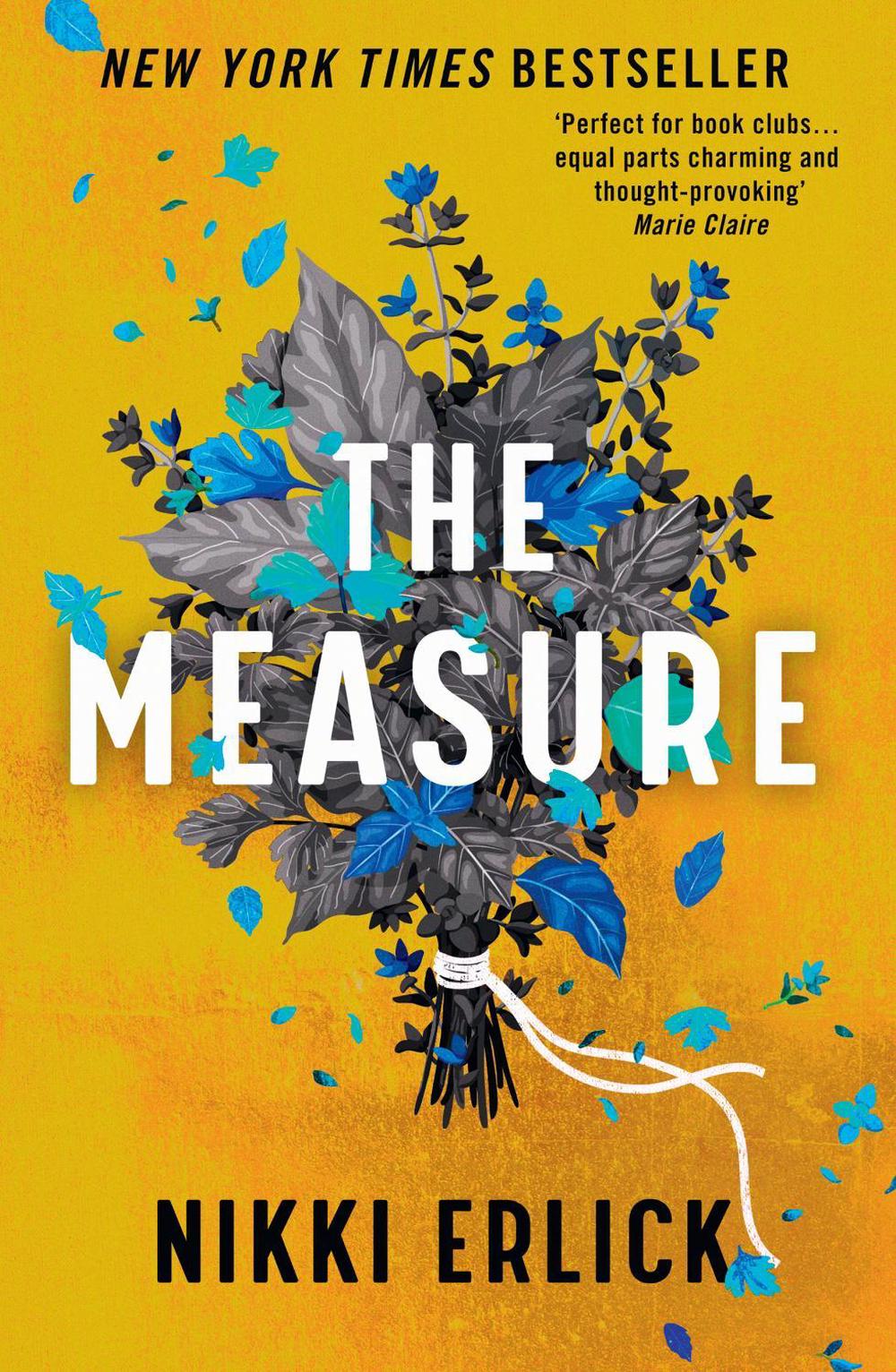 The Measure by Nikki Erlick, Paperback, 9780008491550 | Buy online at ...