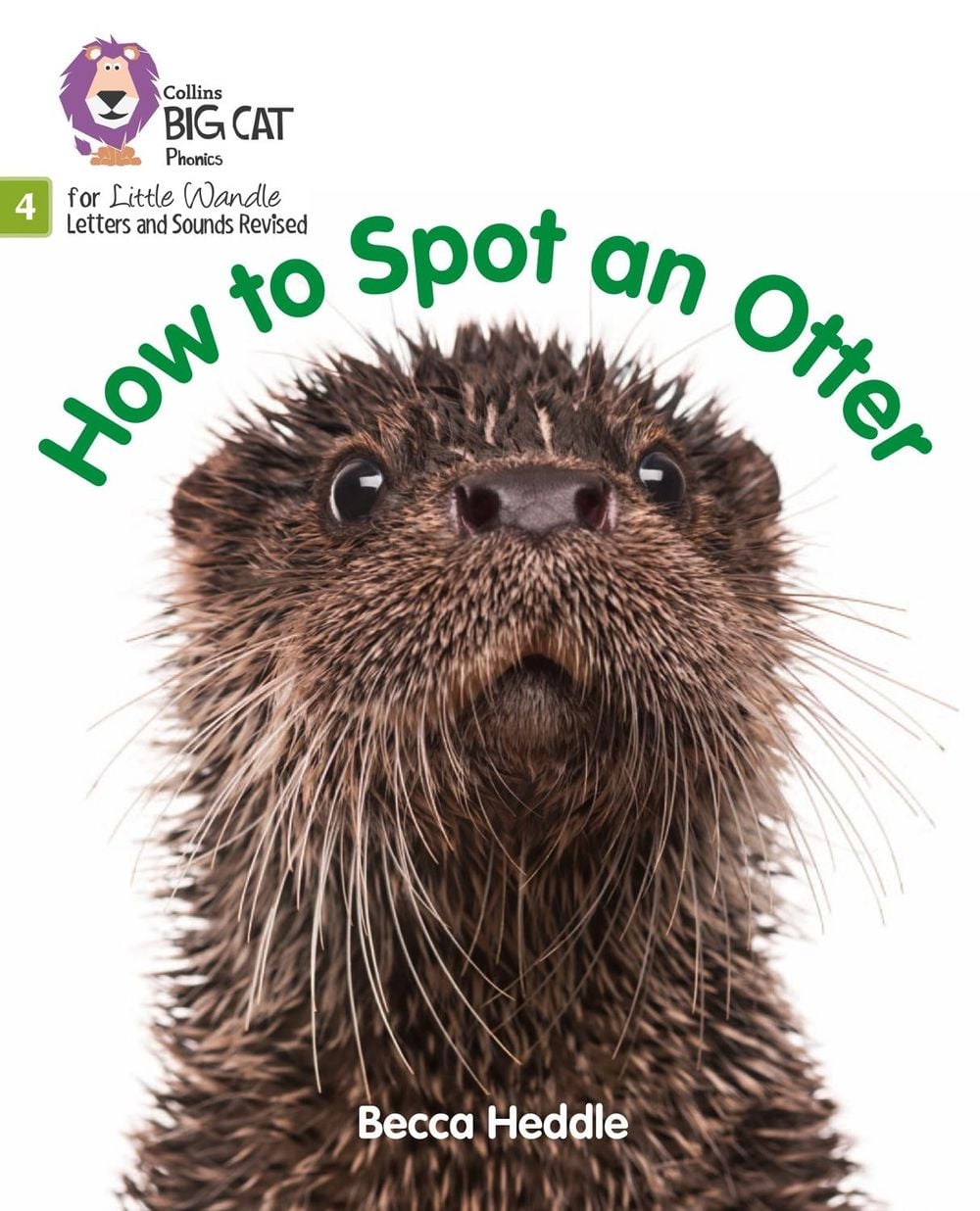 How to Spot an Otter by Becca Heddle, Paperback, 9780008502645 | Buy ...