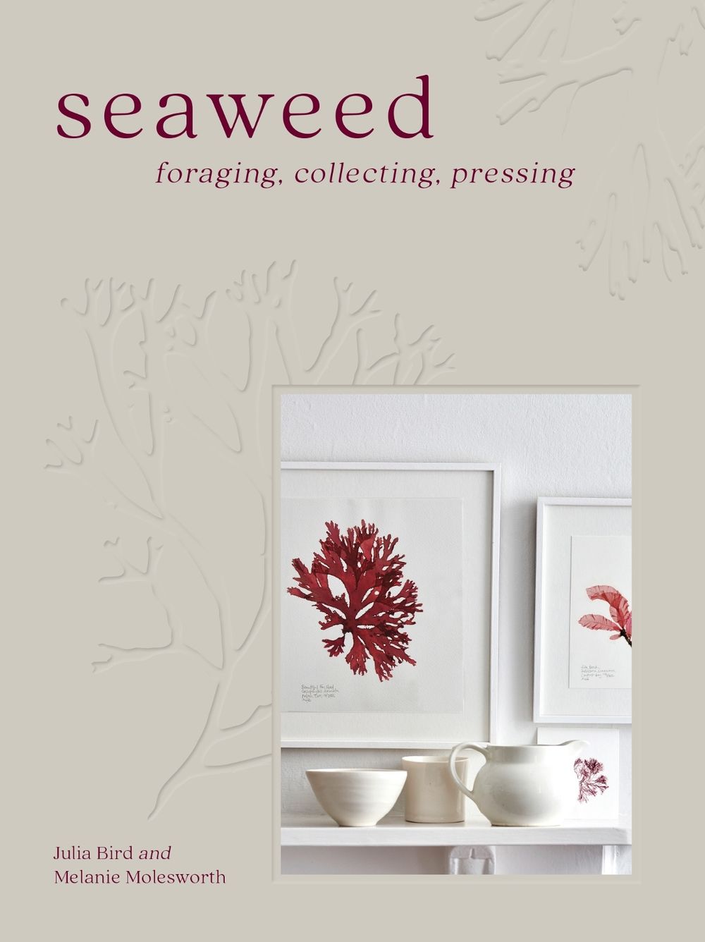 Seaweed by Melanie Molesworth, Hardcover, 9780008557409 | Buy online at ...