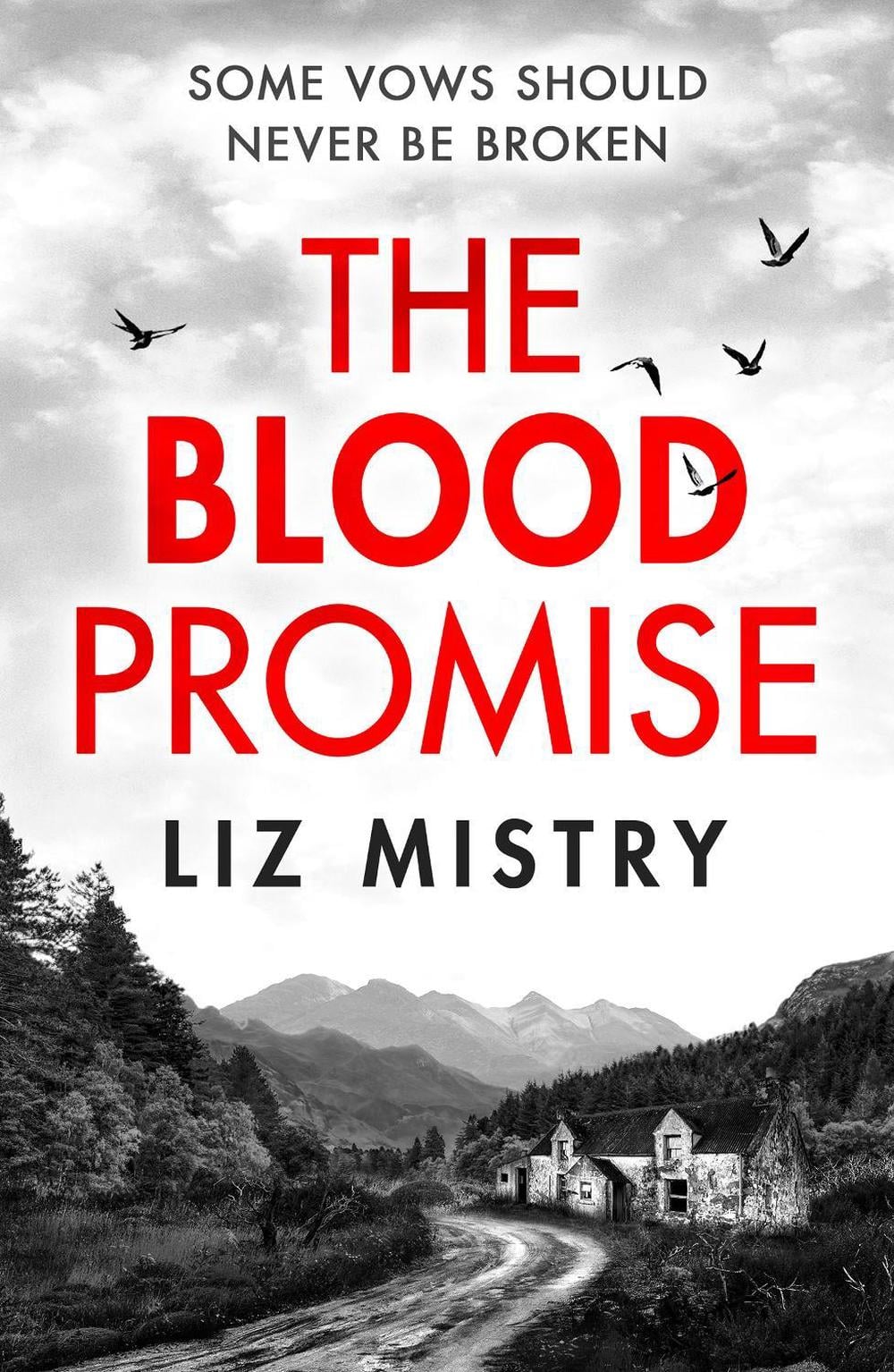 The Blood Promise by Liz Mistry, Paperback, 9780008686451 | Buy online ...