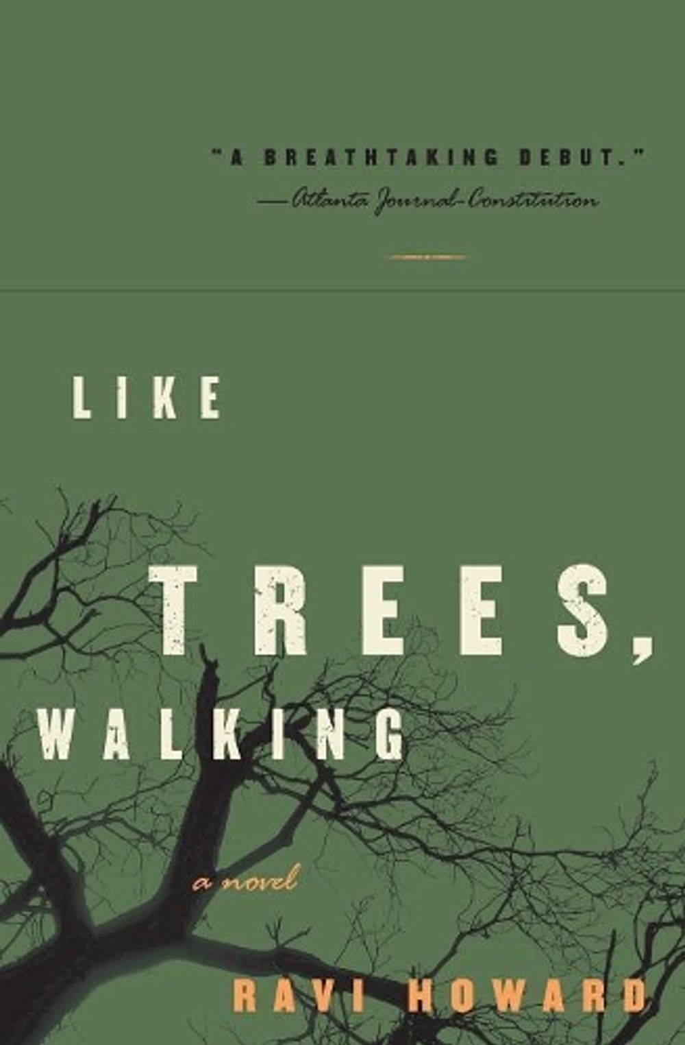 Like Trees, Walking by Ravi Howard, Paperback, 9780060529604 | Buy ...