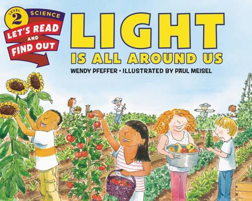 Light Is All Around Us by Wendy Pfeffer, Paperback, 9780062381903 | Buy ...