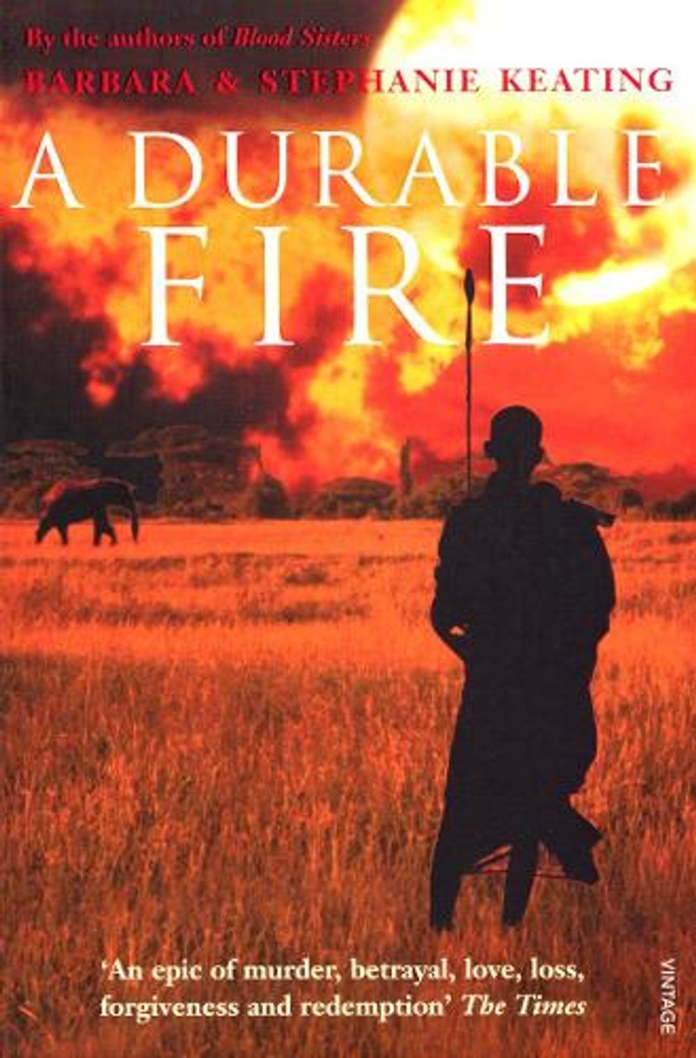 A Durable Fire by Barbara Keating, Paperback, 9780099501695 | Buy ...