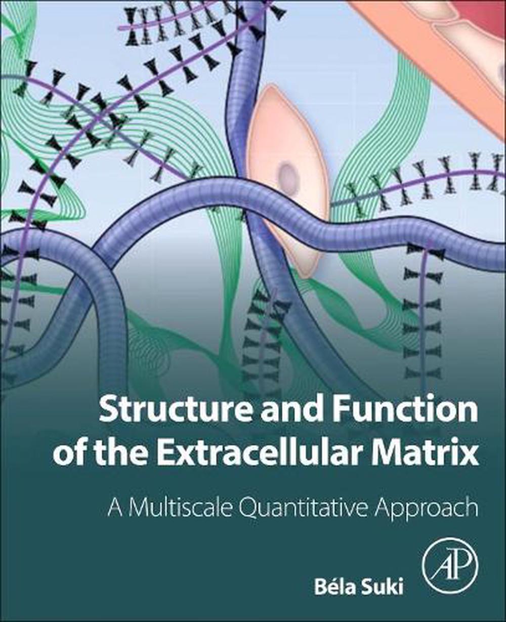 Structure and Function of the Extracellular Matrix by Bela Suki ...