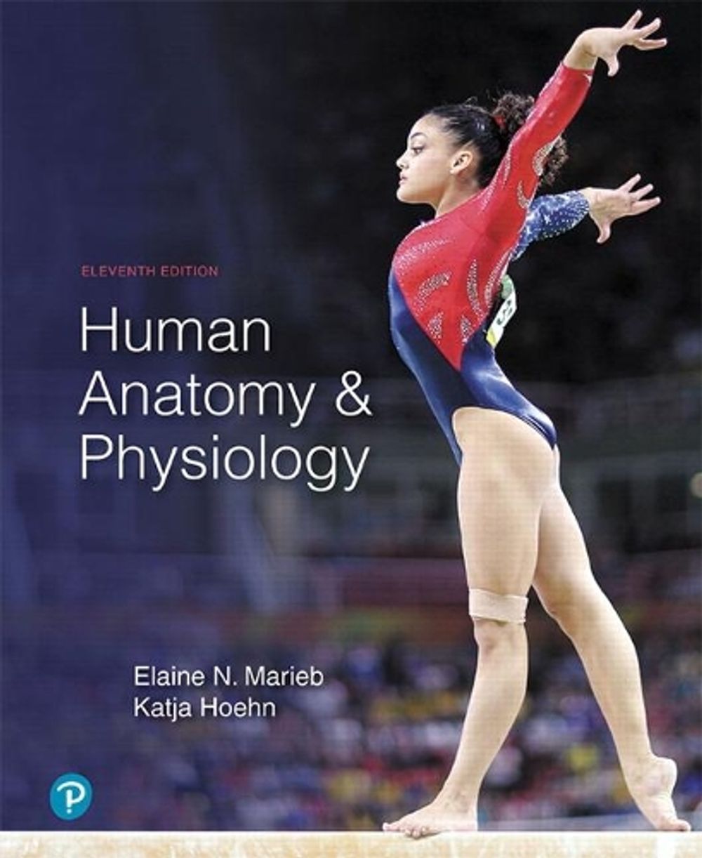 Human Anatomy Physiology By Elaine N Marieb Hardcover Human Anatomy Physiology By Elaine N Marieb Hardcover
