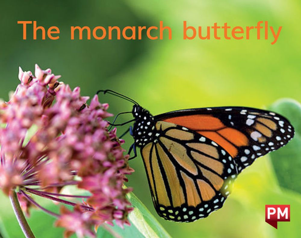 The monarch butterfly, 1st Edition by Annette Smith, Paperback ...