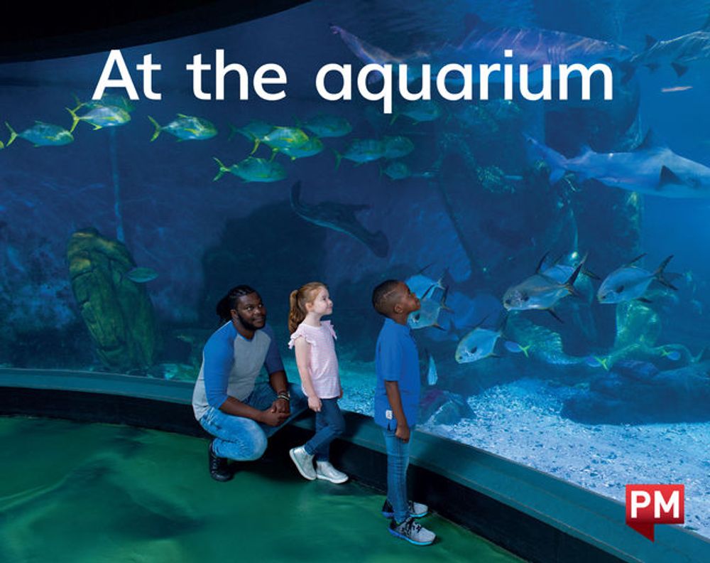 At the aquarium, 1st Edition by Annette Smith, Paperback, 9780170414425 ...