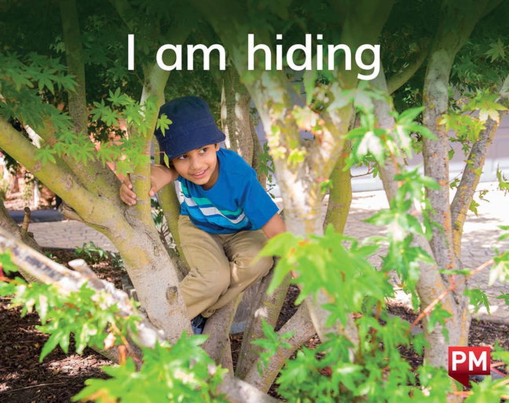 I am hiding, 1st Edition by Eve Browne, Paperback, 9780170414487 | Buy ...