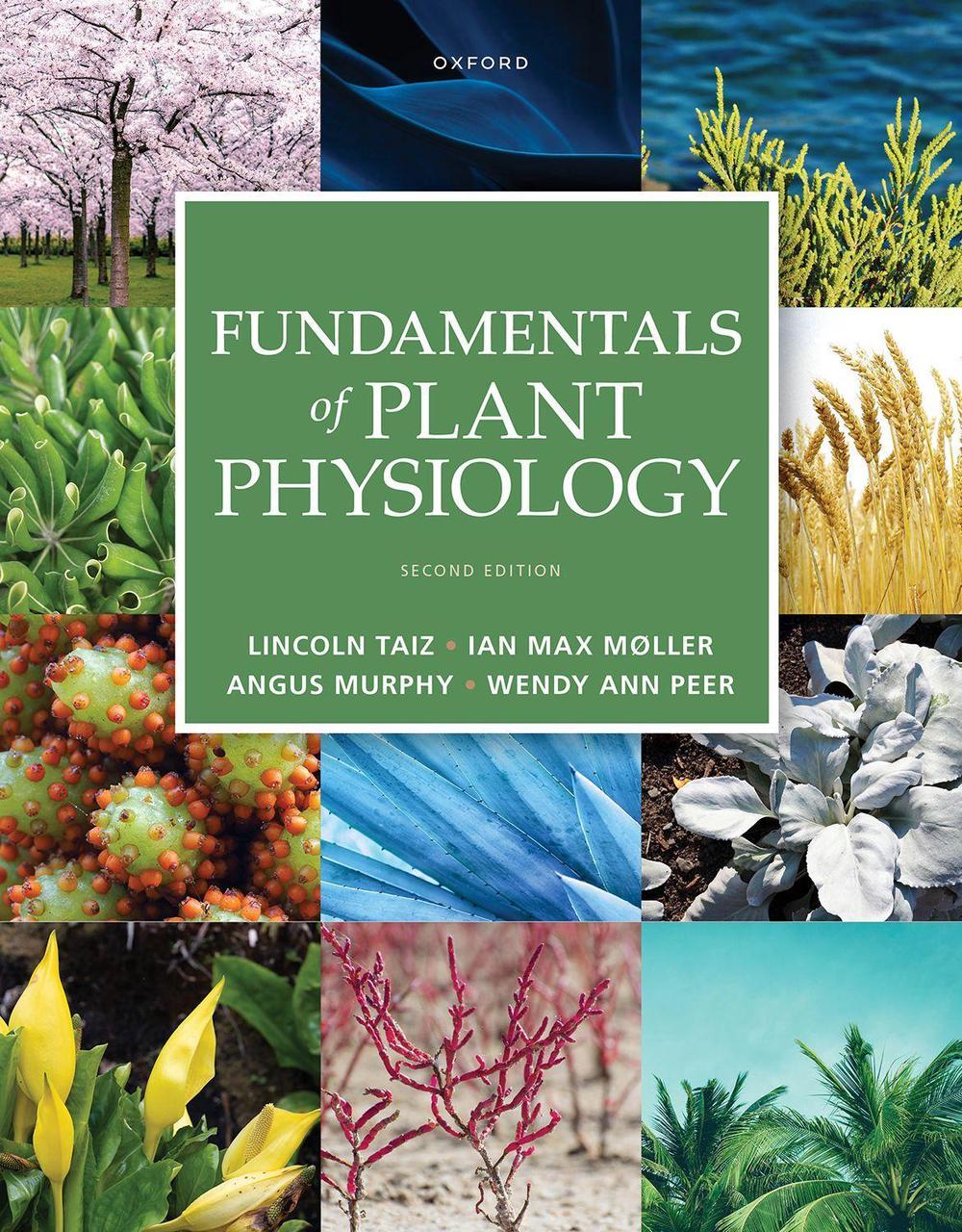Fundamentals of Plant Physiology, 2nd Edition by Lincoln Taiz, Paperback, 9780197614167 | Buy ...