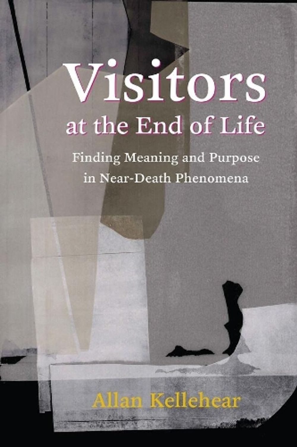 Visitors at the End of Life by Allan Kellehear, Hardcover ...